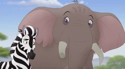 Ma Tembo/Relationships | The Lion Guard Wiki | Fandom