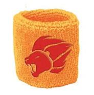 Mark of the Guard/Gallery | The Lion Guard Wiki | Fandom