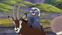 Bunga | The Lion Guard Wiki | Fandom
