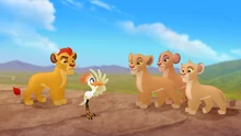 Ono | The Lion Guard Wiki | Fandom