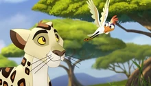 Ono | The Lion Guard Wiki | Fandom