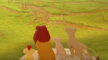 Giraffes | The Lion Guard Wiki | Fandom