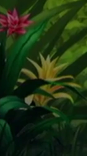 Bromeliads | The Lion Guard Wiki | Fandom