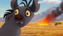 Cheezi | The Lion Guard Wiki | Fandom