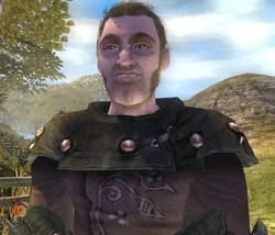 Brom | Lionhead Wiki | Fandom