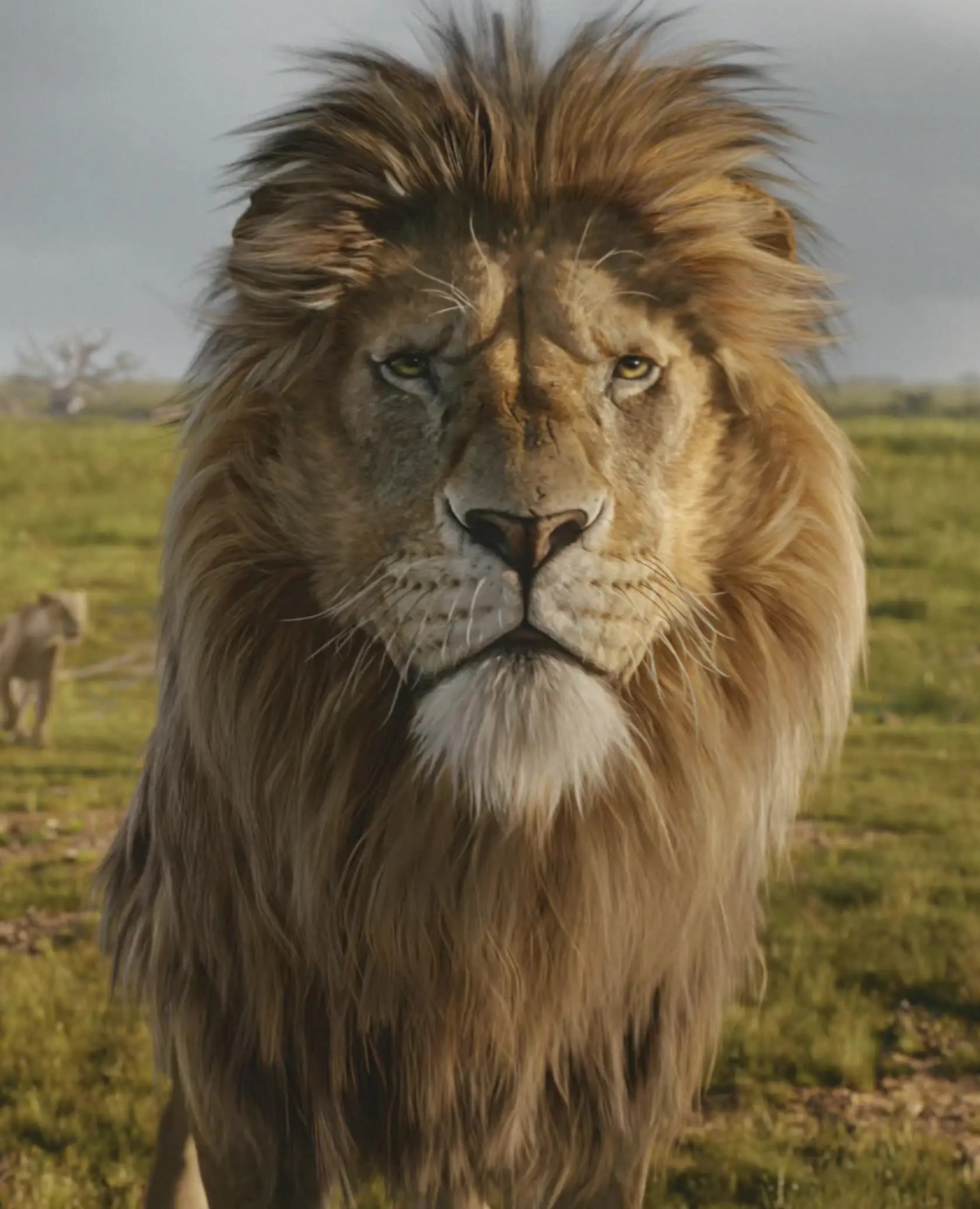 Obasi The Lion King Wiki Fandom