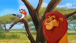 Hornbills | The Lion King Wiki | Fandom