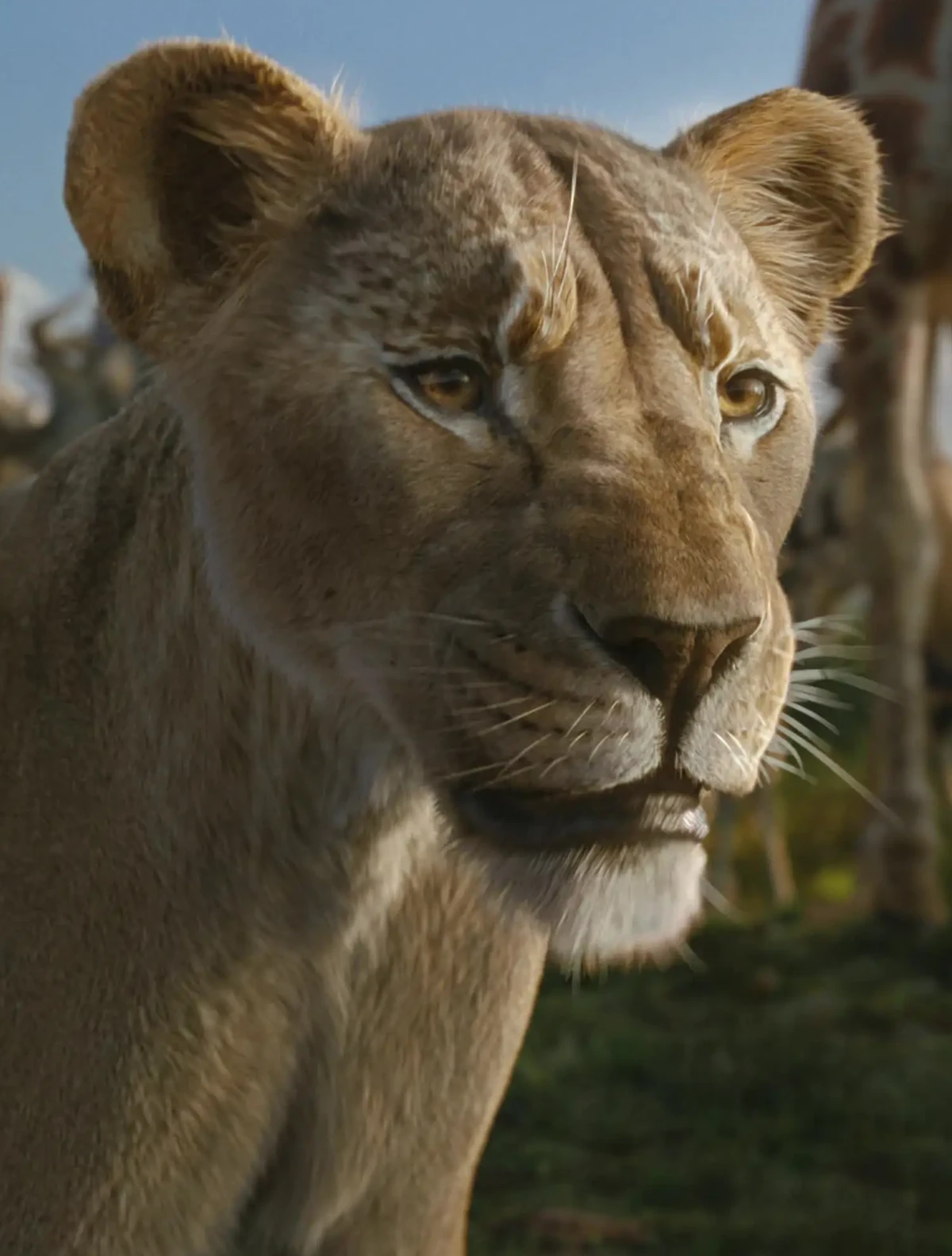 Afia | The Lion King Wiki | Fandom