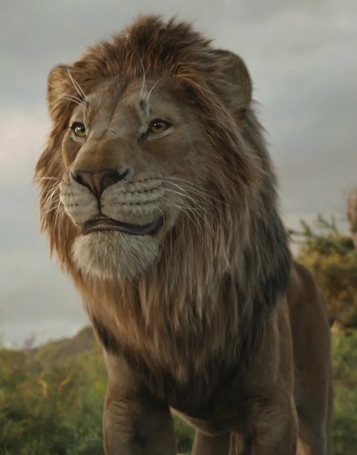 Simba (reboot) | The Lion King Wiki | Fandom