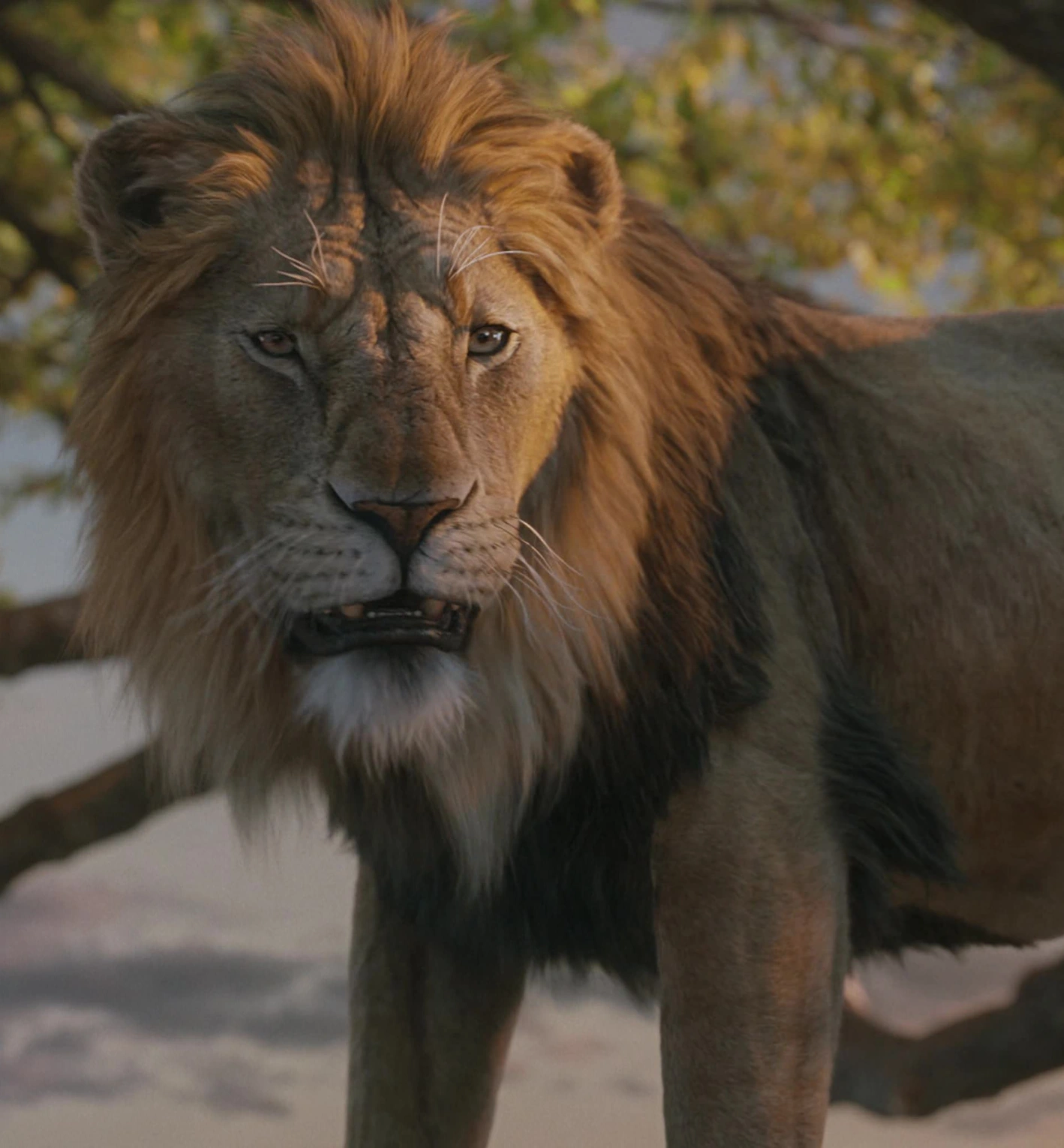 Discuss Everything About The Lion King Wiki | Fandom