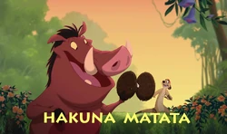 Hakuna Matata (concept) | The Lion King Wiki | Fandom