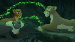 Binturongs | The Lion King Wiki | Fandom