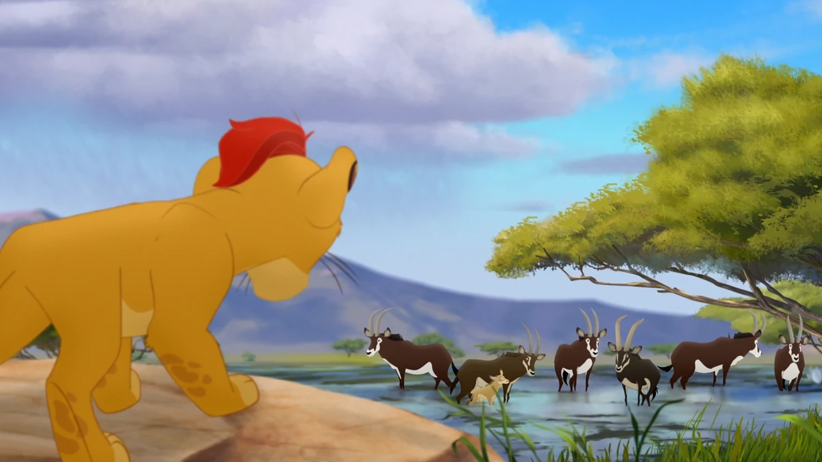 Bupu/Gallery | The Lion King Wiki | Fandom