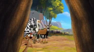 Mbuni/Gallery | The Lion King Wiki | Fandom