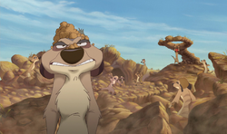 Timon's colony | The Lion King Wiki | Fandom