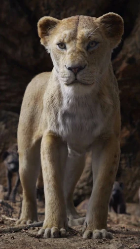 Lion King Sarabi And Mufasa Mufasa, Sarabi And Zazu By Penda321 On