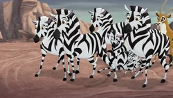 Muhimu's herd | The Lion King Wiki | Fandom
