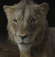 Obasi's pride | The Lion King Wiki | Fandom