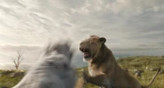 Shaju/Gallery | The Lion King Wiki | Fandom