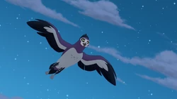 Anga | The Lion King Wiki | Fandom