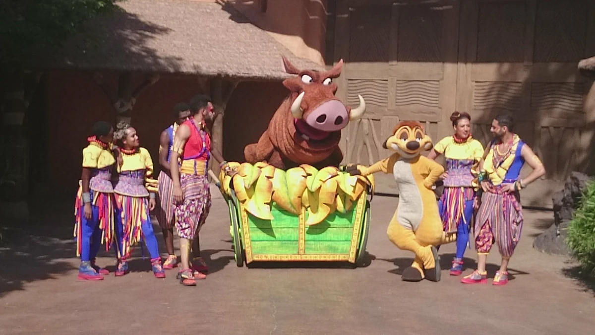 Timon's MataDance | The Lion King Wiki | Fandom