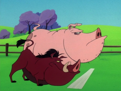 Mr. Pig | The Lion King Wiki | Fandom