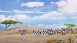 The Mbali Fields Migration | The Lion King Wiki | Fandom