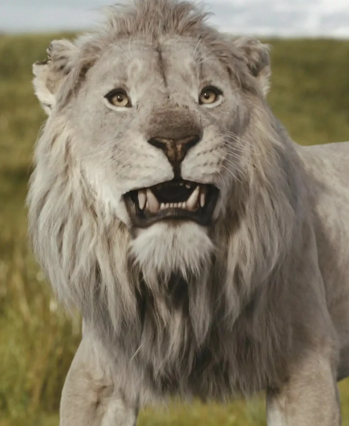 Azibo | The Lion King Wiki | Fandom