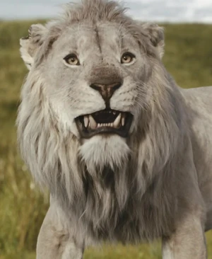 Azibo | The Lion King Wiki | Fandom