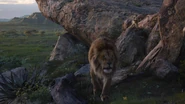 Pride Rock (reboot) | The Lion King Wiki | Fandom