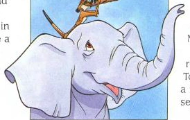 Toot | The Lion King Wiki | Fandom