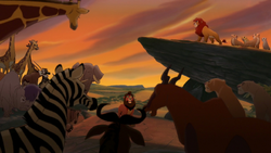Simba | The Lion King Wiki | Fandom
