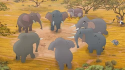 Ma Tembo's herd | The Lion King Wiki | Fandom