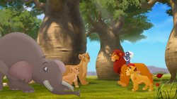 Ma Tembo | The Lion King Wiki | Fandom
