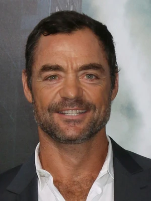 David S. Lee | The Lion King Wiki | Fandom