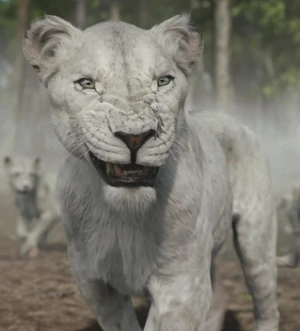 Akua | The Lion King Wiki | Fandom