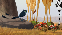 Tamaa | The Lion King Wiki | Fandom