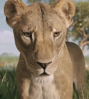 Eshe | The Lion King Wiki | Fandom