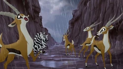 Swala's herd | The Lion King Wiki | Fandom