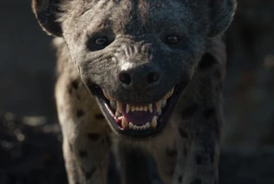 Hyena Lion King