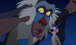 Rafiki | The Lion King Wiki | Fandom
