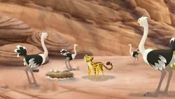 Mbuni's flock | The Lion King Wiki | Fandom