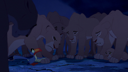 Sarabi | The Lion King Wiki | Fandom