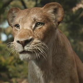 Lion King Nala Pregnant