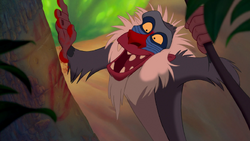 Rafiki | The Lion King Wiki | Fandom