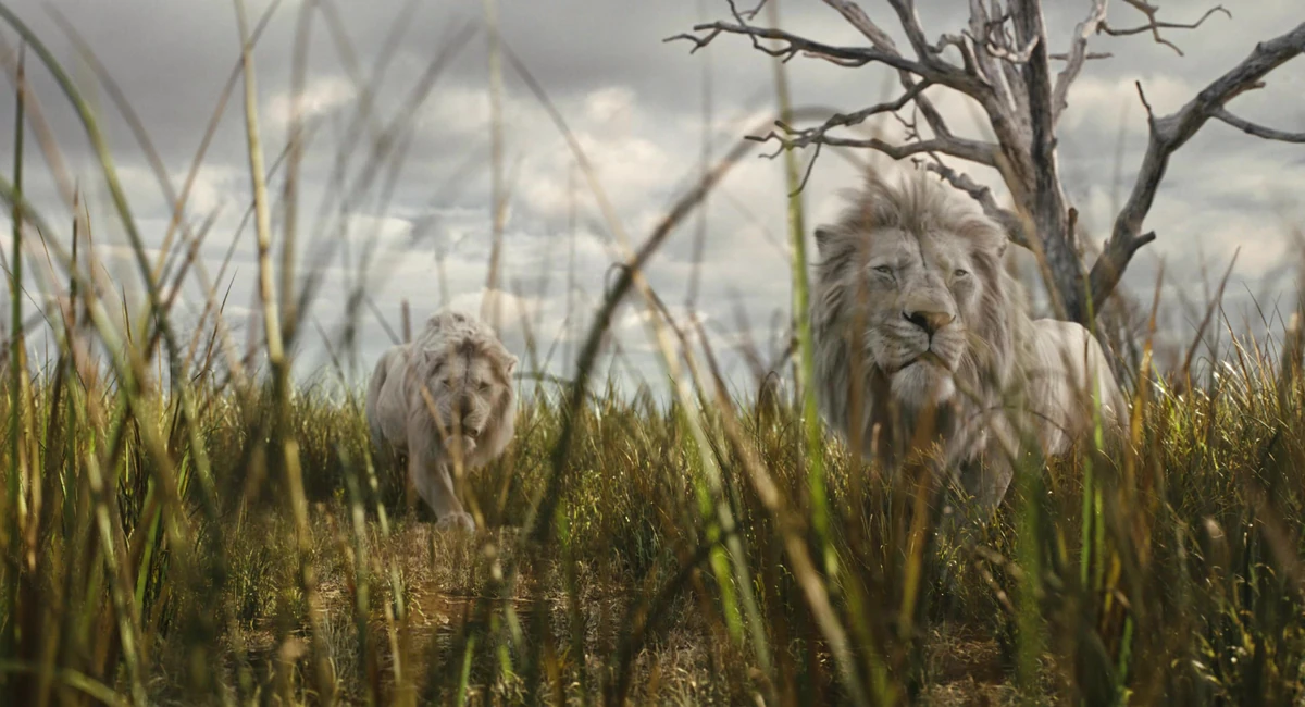 Shaju/Gallery | The Lion King Wiki | Fandom