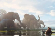 Mufasa: The Lion King/Concepts | The Lion King Wiki | Fandom