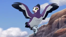 Anga | The Lion King Wiki | Fandom