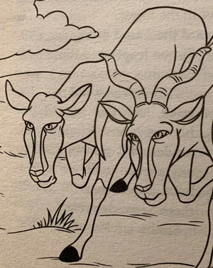 Kanga | The Lion King Wiki | Fandom