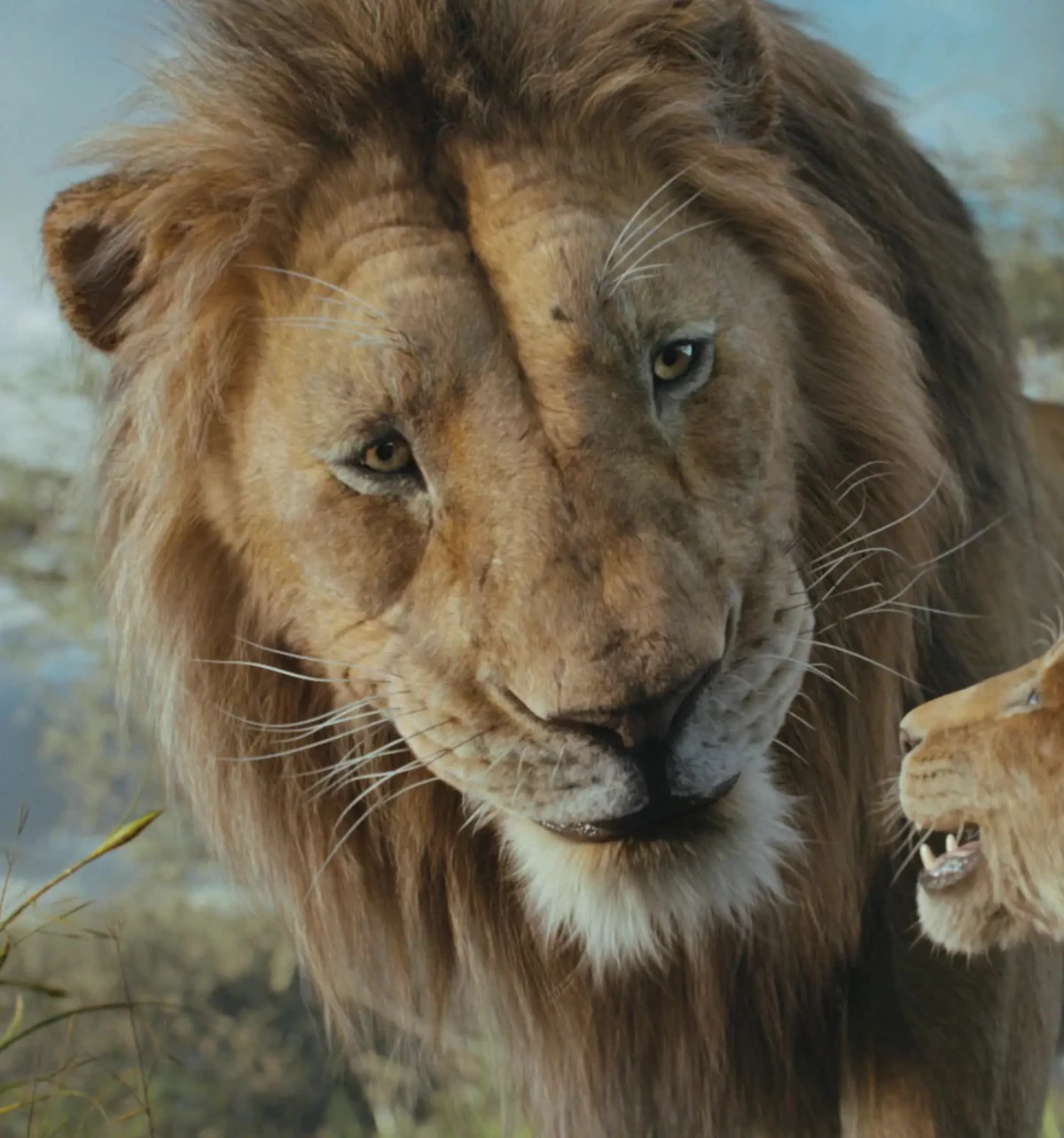 Masego | The Lion King Wiki | Fandom